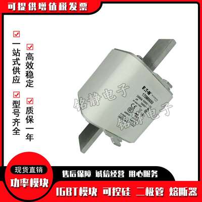 170M8536 170M8537 170M8538巴斯曼熔断器现货170M8539