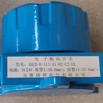 XHZD-B-II-A1-B2-C2-D2电子振动开关