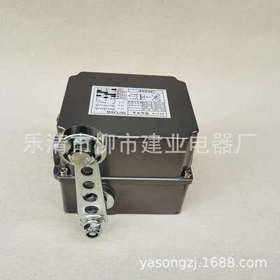 DF1-A DF2-A  行程开关 炼焦钢厂起重设备重负荷限位开关