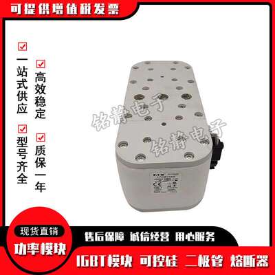 170M7513 170M7515 170M7516 170M7978巴斯曼熔断器现货