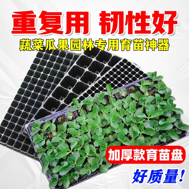 育苗穴盘家庭育苗种植神器套装营养钵蔬菜多肉育种扦插盒农用托盘