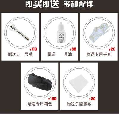 麦格维特乐器MTR-200N降B调三音小号乐器表面镀镍银演奏型半音阶