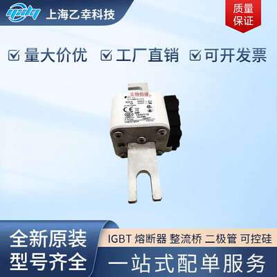 巴斯曼熔断器  170M4310 170M4311 170M4312 170M4313 170M4314