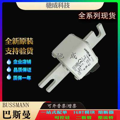 巴斯曼170M4259 170M4260 170M4261 大量现货价格优惠 快熔保险丝