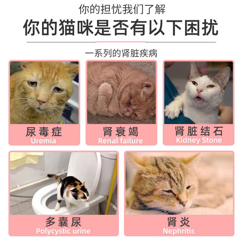 普贝斯猫肾脏护理处方猫粮肾全价猫干粮处方粮