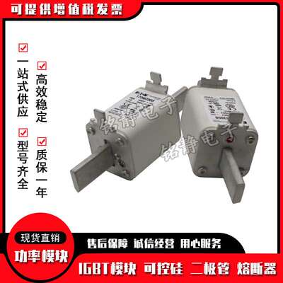 170M2618 170M2619 170M2620 170M2621巴斯曼熔断器现货