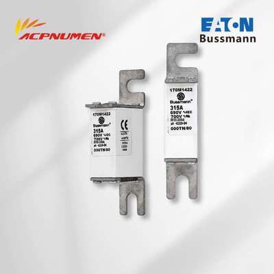 170M3973 bussmann通讯行业 高速熔断器1000V 1400A T型指示灯