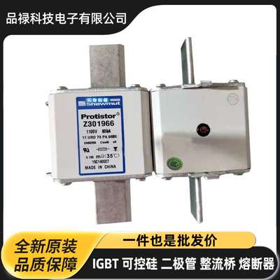 罗兰A070UD30LI63 M300138 A070UD30LI80 N300139原装荣熔断器