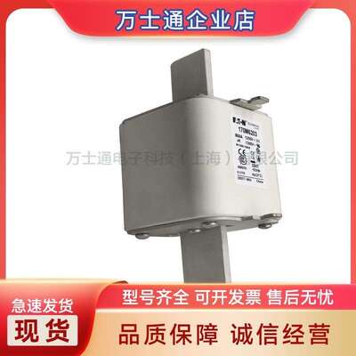 170M5266 170M5267 170M5268 170M6258 170M6259 170M6260熔断器