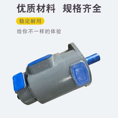 叶片泵20V8A10A14A17A19A25V21A25A30A35V45A3520V4520V3525V4525