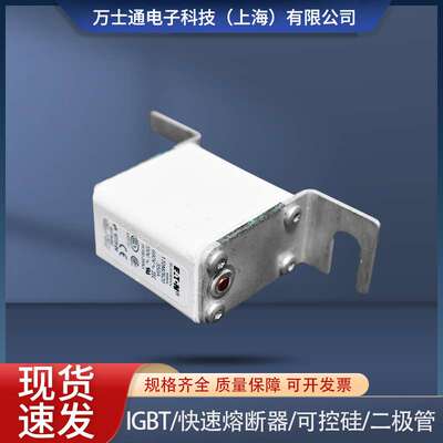 170M2666 170M2667 170M2668 170M2669 170M2670 170M2671熔断器