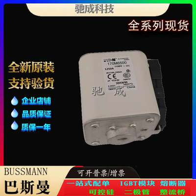巴斯曼170M6503 170M6508 170M6509 长期 销售价优 特种保险丝