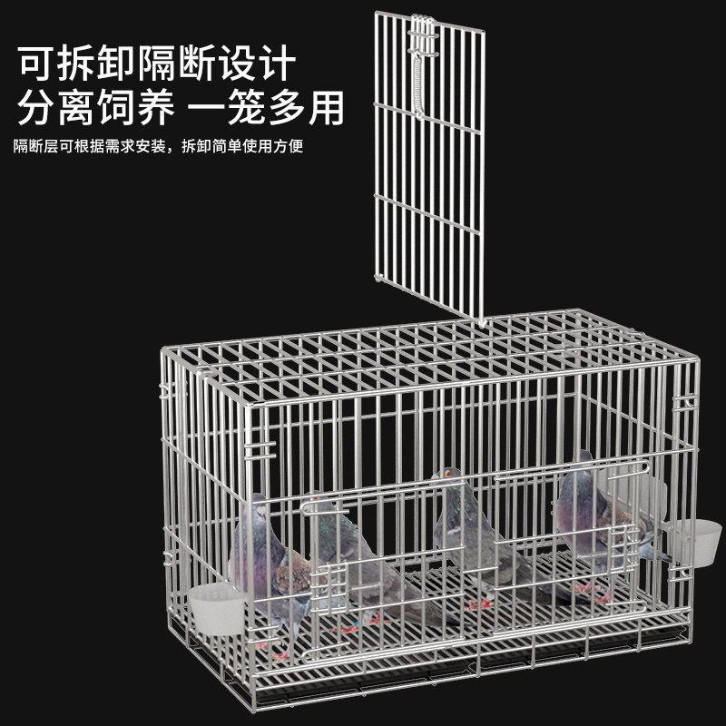 鸽子笼大号家用折叠带隔断鸽笼配对养殖繁殖笼子鸽子用具鸽棚鸽舍