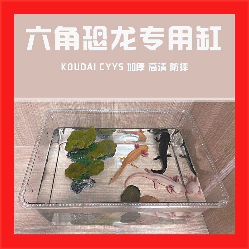 六角恐龙专用缸蝾螈饲养缸六角恐龙鱼躲避屋蝾螈宠物鱼缸喂食器