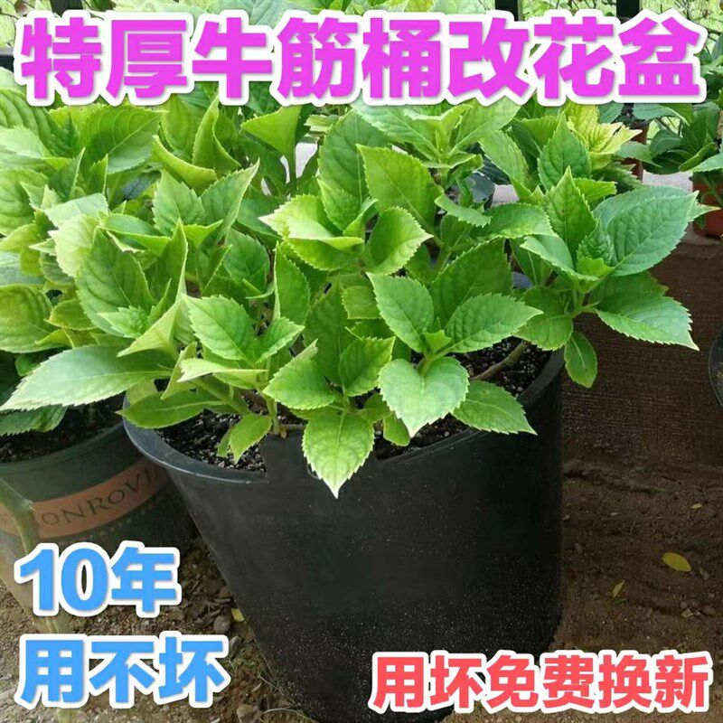 加厚牛筋花盆种菜盆绿植盆栽牛筋桶改花盆耐晒耐用阳台楼顶种花种