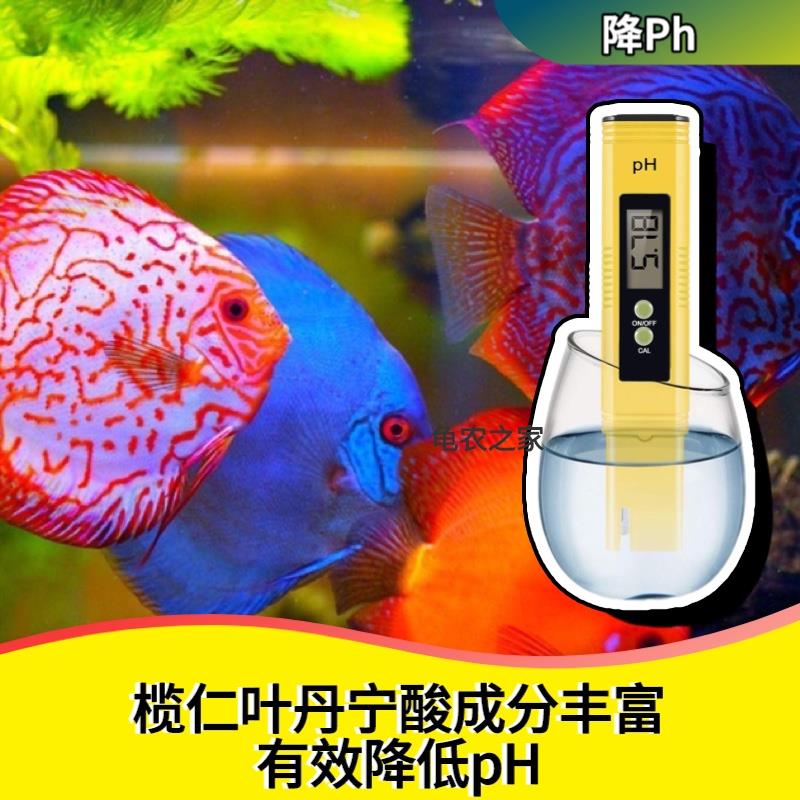 斗鱼懒人叶鱼缸榄仁叶乌龟橄榄叶南美缸树叶水族箱降酸PH值调节剂