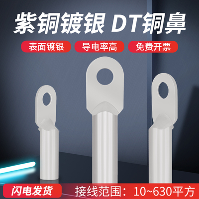 DT镀锡铜鼻子接线端子高压电缆线耳鼻子70/95/120/185/240300平方
