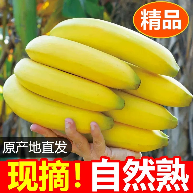 香蕉9斤新鲜整箱水果云南高山大香蕉大芭蕉小米蕉甜蕉皇帝蕉包邮1