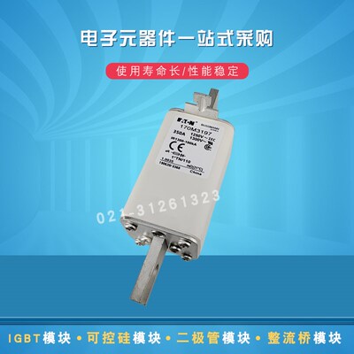巴斯曼快速熔断器170M3191 3192 3193 3194 3195 3196 3197 3现货