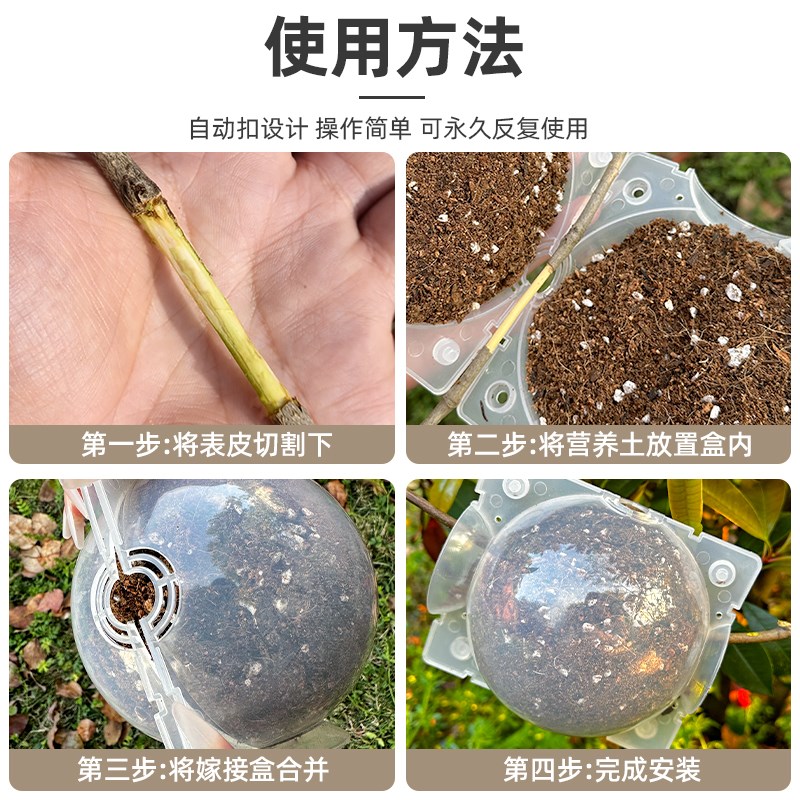 植物高压嫁接繁殖盒扦插育苗嫁接神器生根器高压繁殖球果树生根盒