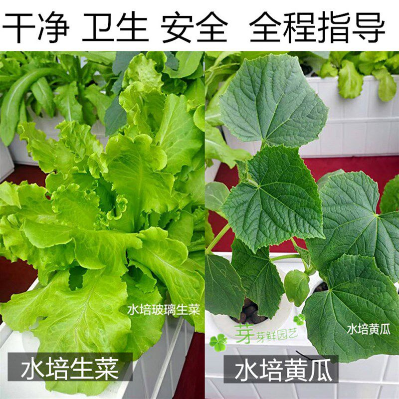 水培蔬菜种菜机家庭阳台无土栽培设备自动循环水耕瓜果种植箱花盆
