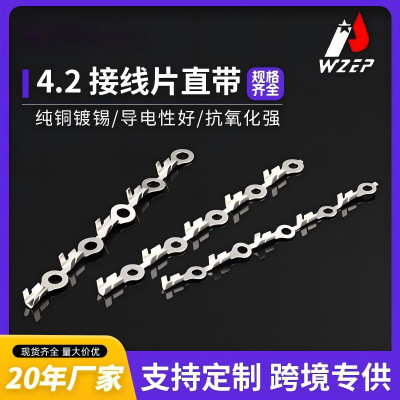 跨境厂家照明电源线螺牙接线端子灯具连接器地环接地片4311-4.2B