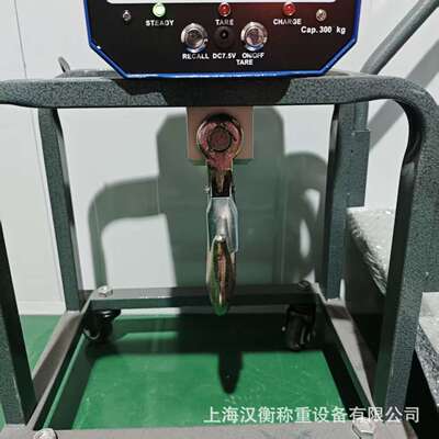 OCS-HHZS500KG无线手持打印版电子吊秤行车行吊钩秤