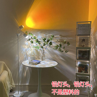 双头水波纹灯氛围灯日落夕阳灯客厅卧室沙发落地灯直播间背景灯