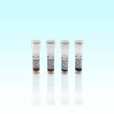 货号70102-50 Beaver 10mg/mL 羧基磁珠(2μm) 海狸