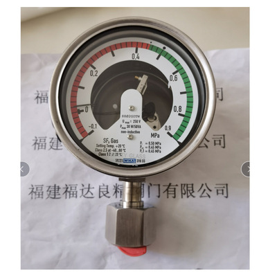 WIKA威卡SF6密度微水检测器 233.52.100 GDM-100)LT(-40...+60℃)