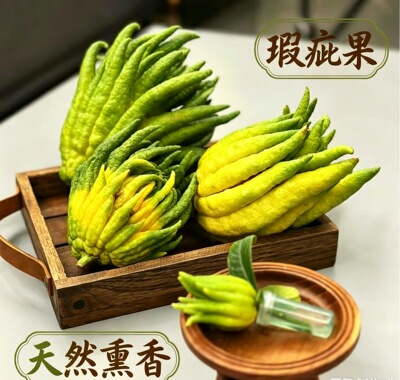 【瑕疵~佛手柑】天然晒斑瑕疵闻香高端花材云南基地直发20A
