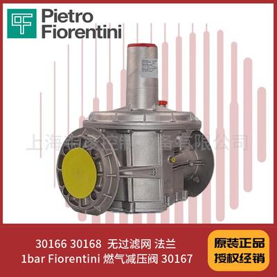 30166 30168  无过滤网 法兰 1bar Fiorentini 燃气压阀 30167