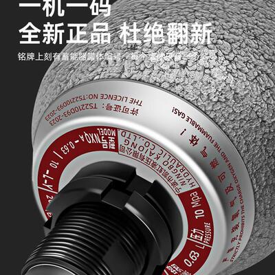 NXQA-6.3/20-L-Y囊式液压蓄能器 NXQA-0.4 25 32 40 50 80/20 10