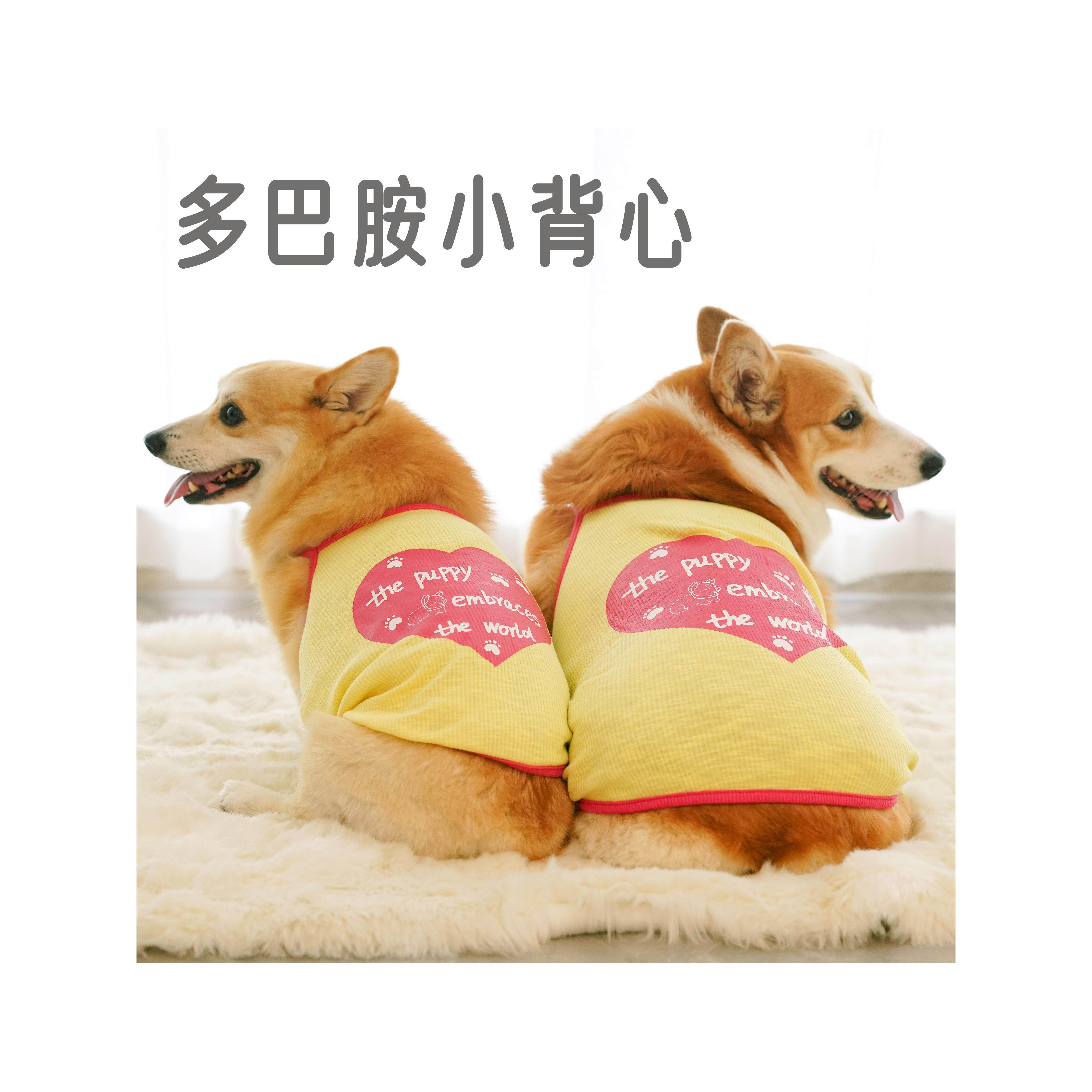 万曼柯基多巴胺竹棉春夏印花带柯基宠物服装透气防晒两条腿装