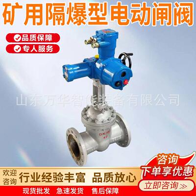 矿用隔爆型电动闸阀 一体化控制 发货快 DN80矿用隔爆型电动闸阀