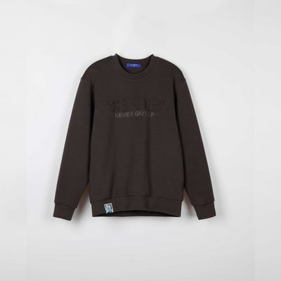 ALT阿恩蓝拓男士冬季圆领卫衣