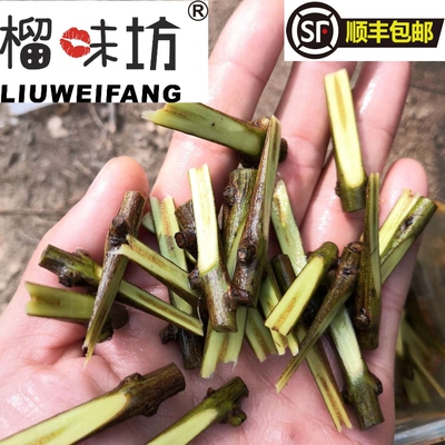 彰冠慕乐软籽石榴嫁接穗