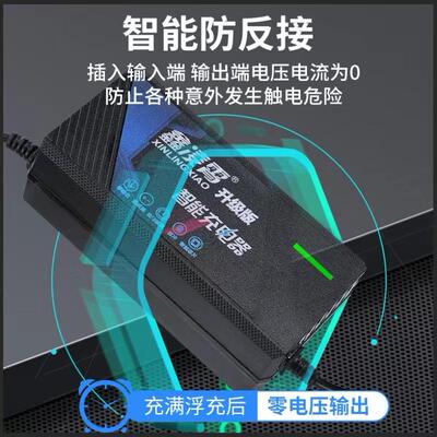 适用新国标立马俩孔电动车充电器48V20AH60V72V20AH立马电动车