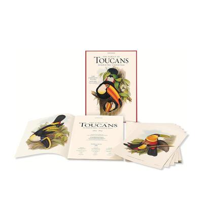 【现货】约翰.库德绘鸟作品集John Could The Family of Toucans英文艺术博物馆展览私人收藏画册Jonathan Elphick平装TASCHEN进口