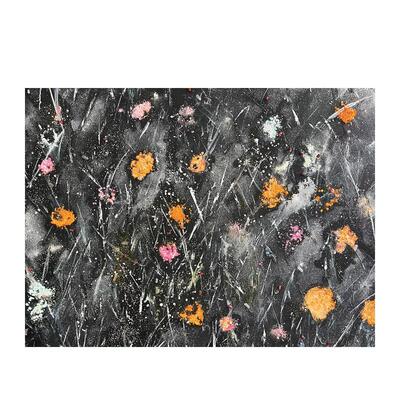 【预售】奥地利艺术家Monika Kus-Picco漂浮Monika Kus-Picco英文艺术家艺术工作室Tamina BauerVFMK Verlag für moderne Kunst精