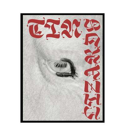【预售】罗伯特勒布朗|铁皮蜥蜴ROBERT LEBLANC  Tin Lizards英文摄影集摄影师专辑精装ROBERT LEBLANC进口原版书Nazraeli Press9