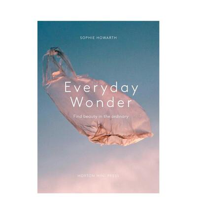 【现货】美好日常 发现平凡之美Everyday Wonder 英文*影集人文景观Sophie Howarth精装Hoxton Min* Press进口原版书97819143147