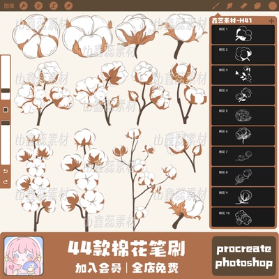 procreate笔刷ps笔刷棉花植物花朵花卉花枝线稿绘画辅助线笔刷