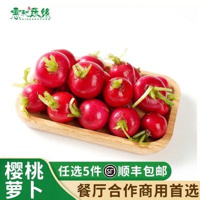新鲜樱桃萝卜迷你小红萝卜小圆萝卜水果萝卜西餐蔬菜沙拉轻食食材