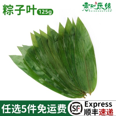 粽叶新鲜粽子叶竹叶刺身摆盘装饰小粽叶包粽子端午节商用批发叶子