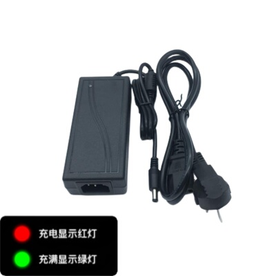 12.6V5000MA电源线充电器16.8V4A