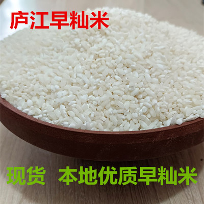 安徽特产早稻米早籼米庐江早稻米大米