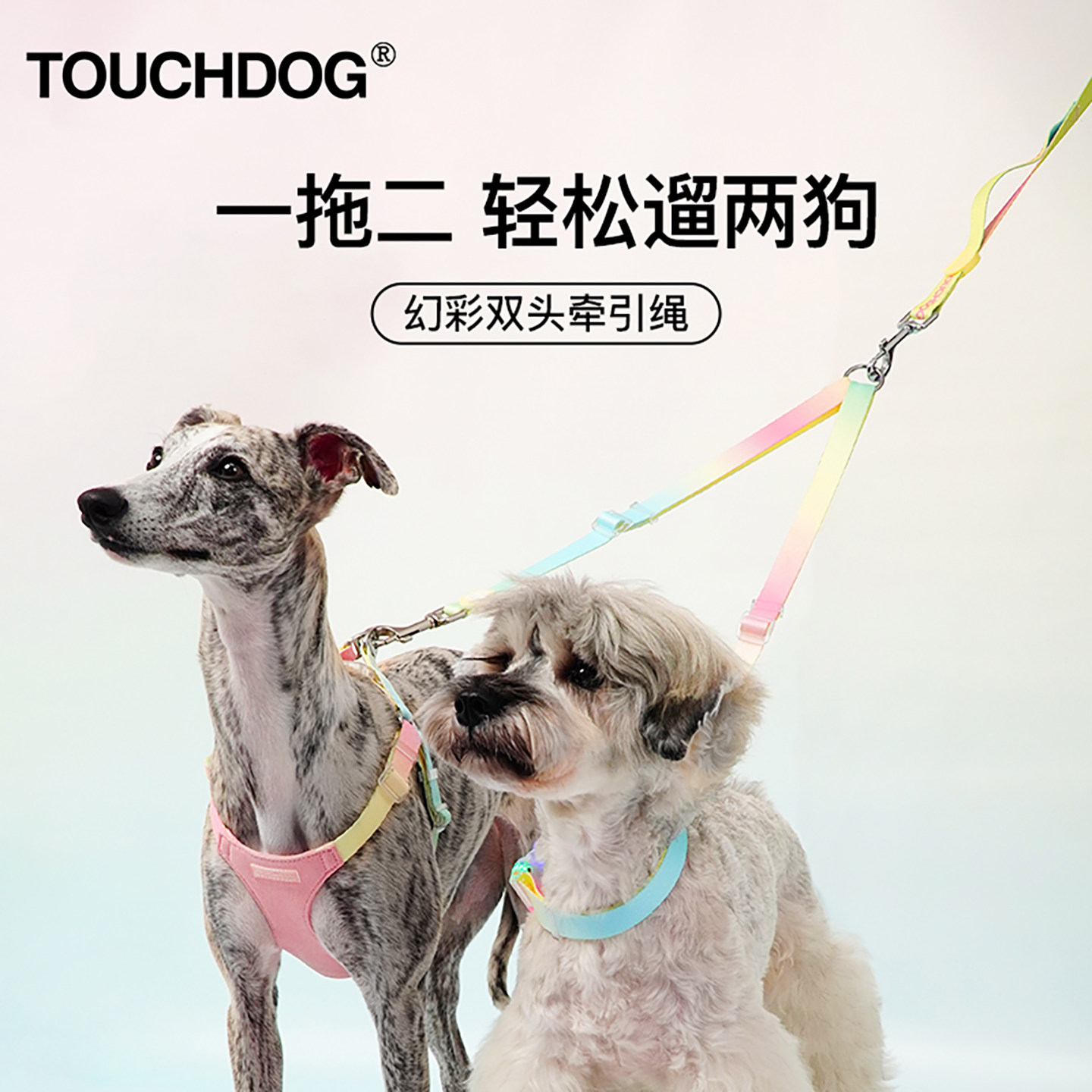 Touchdog狗狗双头牵引绳一拖二遛狗绳防缠绕可调节宠物狗链两只狗
