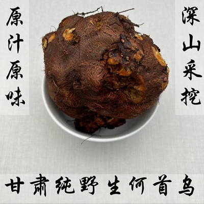 野生何首乌500g甘肃漳县原产地 原汁原味 黑发白发野生中药材