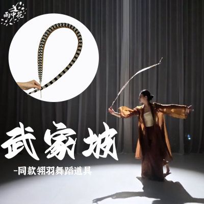 武家坡翎羽舞蹈道具春晚同款戏曲